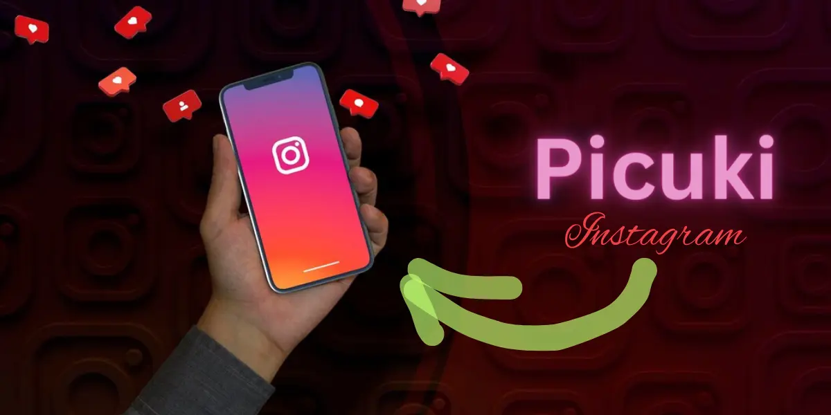 A Complete Guide About Picuki